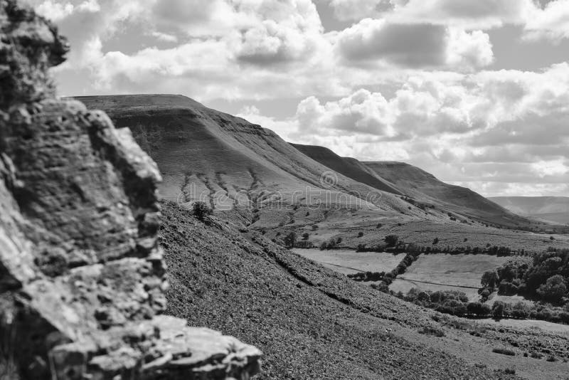 Beautiful View of Empty Fields in the Countryside with Thick Trees and ...