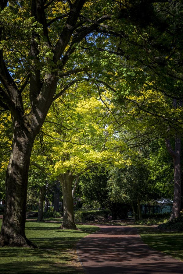 A Beautiful View in an English Park Editorial Image - Image of england ...