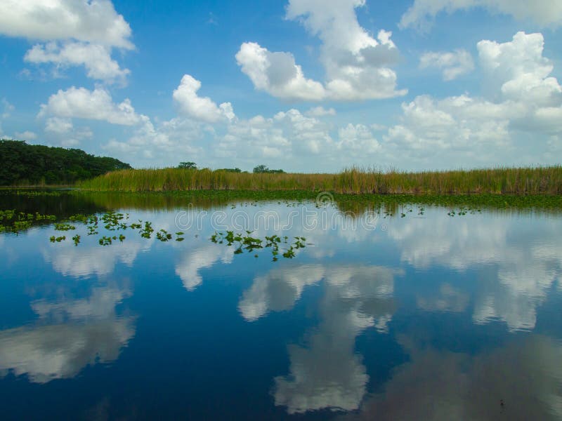 Beautiful Everglades Landscape Stock Photo - Image of everglades ...
