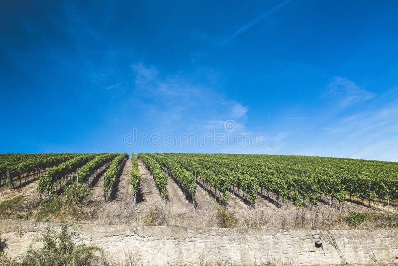 Beautiful View of a Field Under the Amazing Clear Blue Sky Stock Image ...