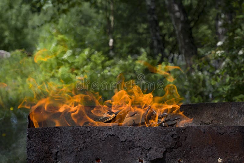 Fire Burning Bright Flame on a Dark Background Stock Photo - Image of ...