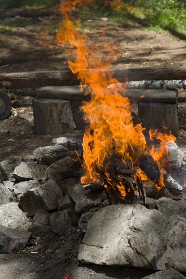 Fire Burning Bright Flame on the Background of Grass and Stones Closeup ...