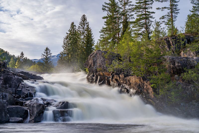 Beautiful View of a Foamy Cascade Flowing Surrounded by a Forest Stock ...