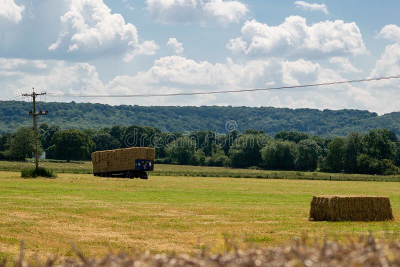 Beautiful View of the Fodder and Fields Stock Image - Image of ...