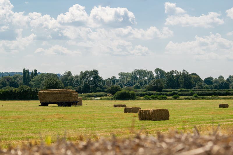 Beautiful View of the Fodder and Fields Stock Photo - Image of highland ...