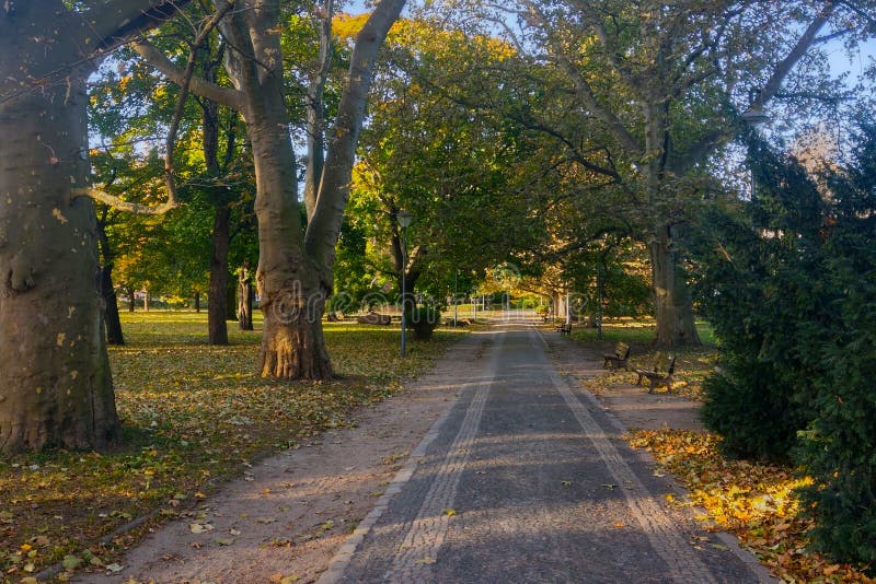 Beautiful View of the Footpath in the Park. Fresh Clean Air. Stock ...