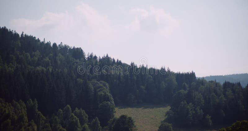 Beautiful View of Forest and Fields Aerial Stock Photo - Image of ...