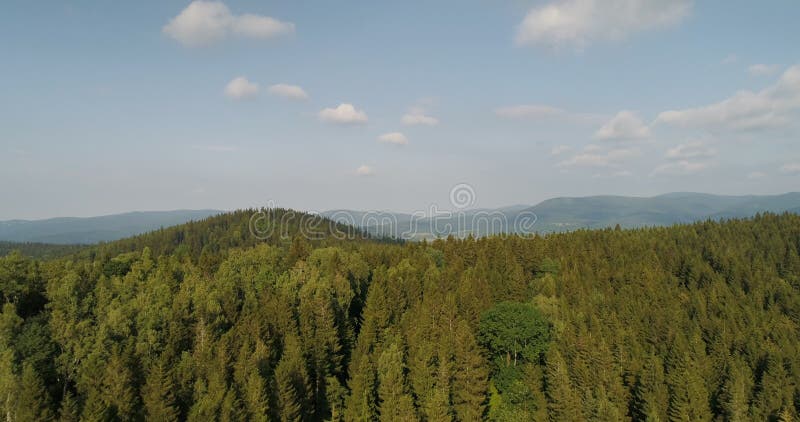 Beautiful View of Forest and Fields Aerial Stock Image - Image of ...