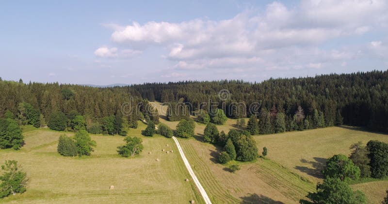 Beautiful View of Forest and Fields Aerial Stock Image - Image of ...