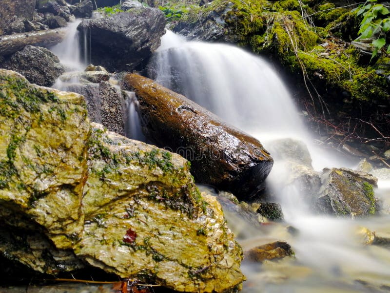 Backround stock photo. Image of stones, stream, wood - 113520586