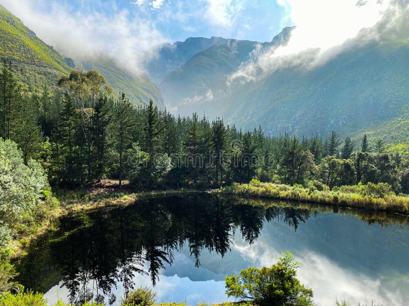 Beautiful View of the Forest Tree Reflection on the River on a Sunnday ...