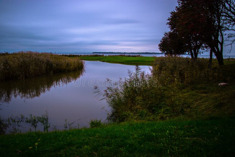 Beautiful View of a Freshwater Marsh in the Green Fields on a Gloomy ...