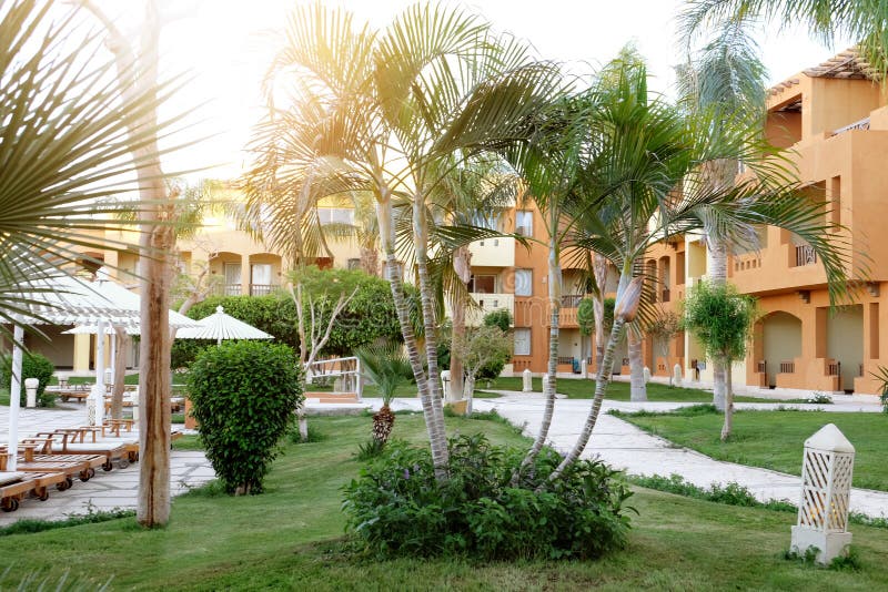 Beautiful Garden In Hotel Resort Picture. Image: 12545782