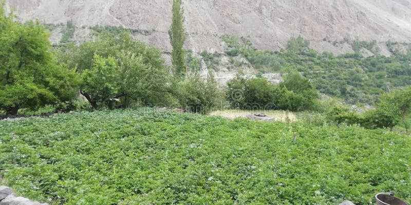 Beautiful View of Gilgit Baltistan Stock Photo - Image of beautiful ...