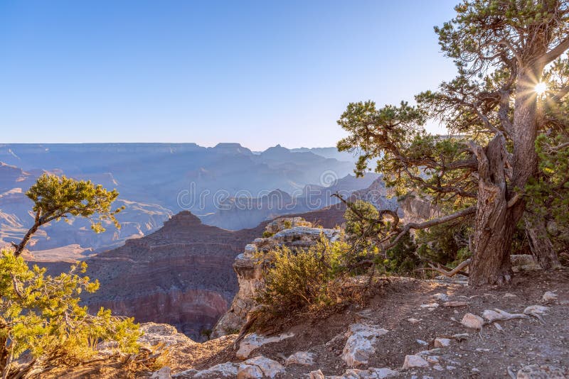 Beautiful View of the Grand Canyon in the Light of the Rising Sun Stock ...