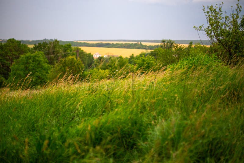 Beautiful View of the Grass-covered Hill Overlooking the Trees and ...