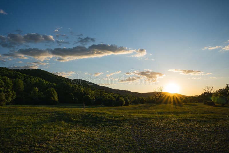 Beautiful View of the Grass Field and Trees with the Mountains in the ...