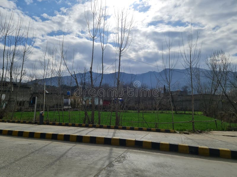 Beautiful View Green Field with Tree Fall Swat Stock Photo - Image of ...