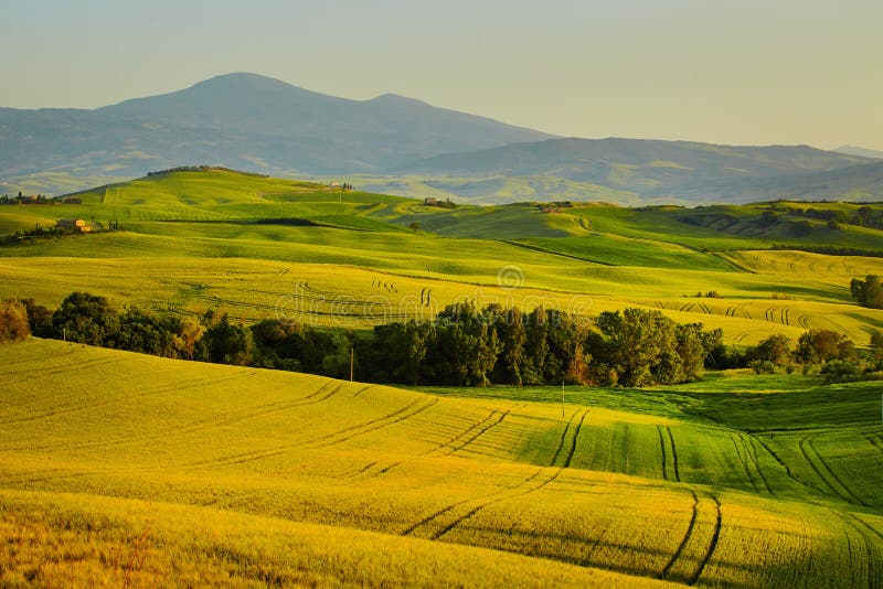 Beautiful View of Green Fields in Tuscany Stock Photo - Image of ...