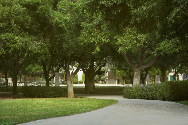 Beautiful View of Green Park with Pathway Stock Photo - Image of ...