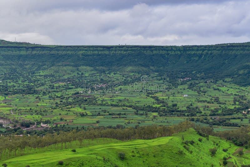 Greenery of India stock photo. Image of outdoor, asia - 225882160