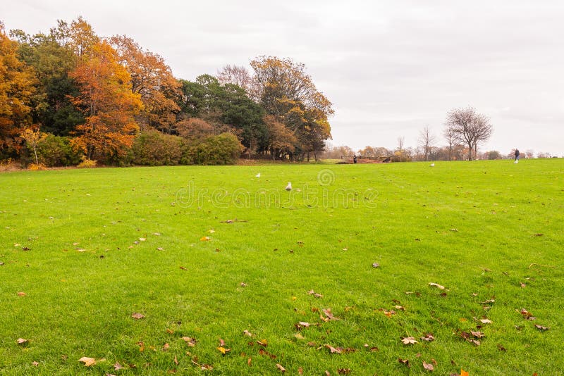 Beautiful View of a Greenfield during Autumn Stock Image - Image of ...