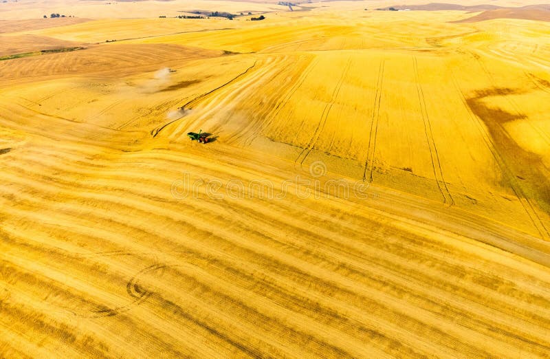 Beautiful View of a Harvested Wheat Field with a Rolling Hill Surface ...
