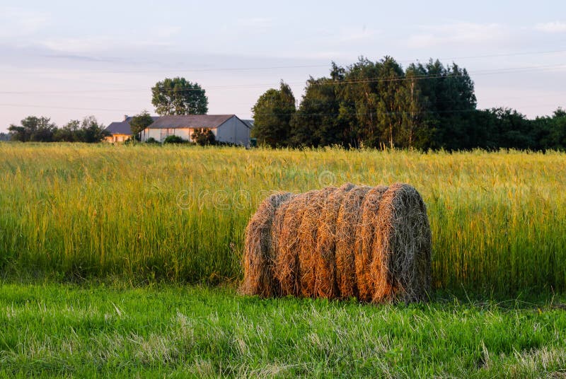 Beautiful View of a Haystack by a Farm with the Trees and Barns in the ...