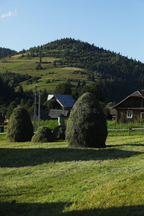 Beautiful View of Haystacks, Houses and Forest in Mountains Under Blue ...