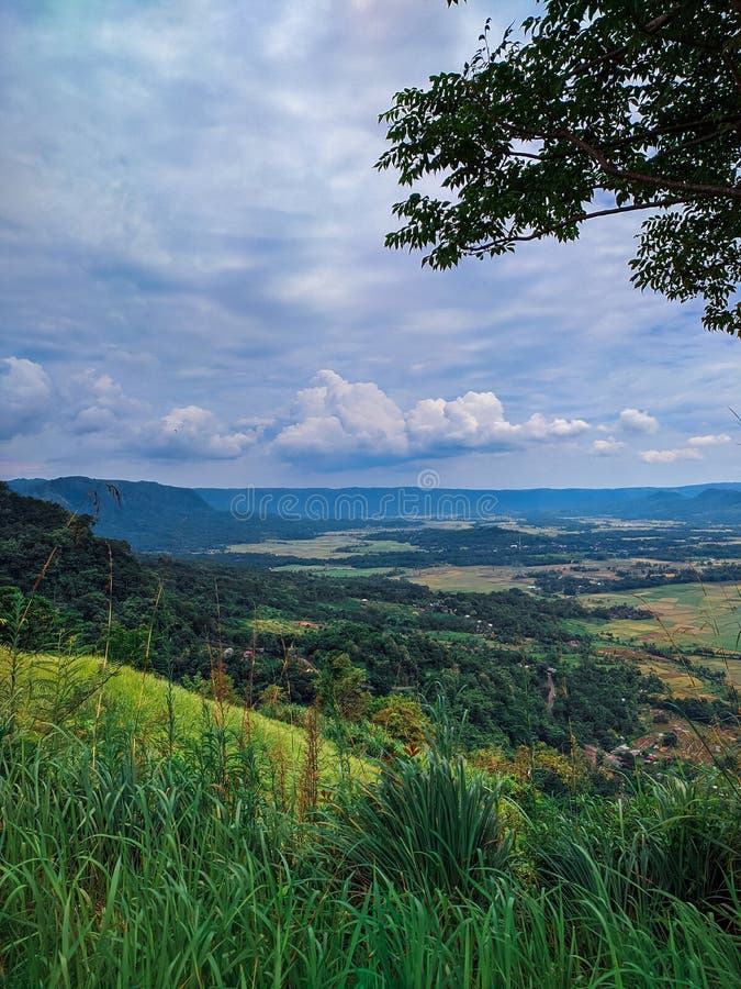 Beautiful View on the Hill, Visible Trees and Green Expanse of Rice ...