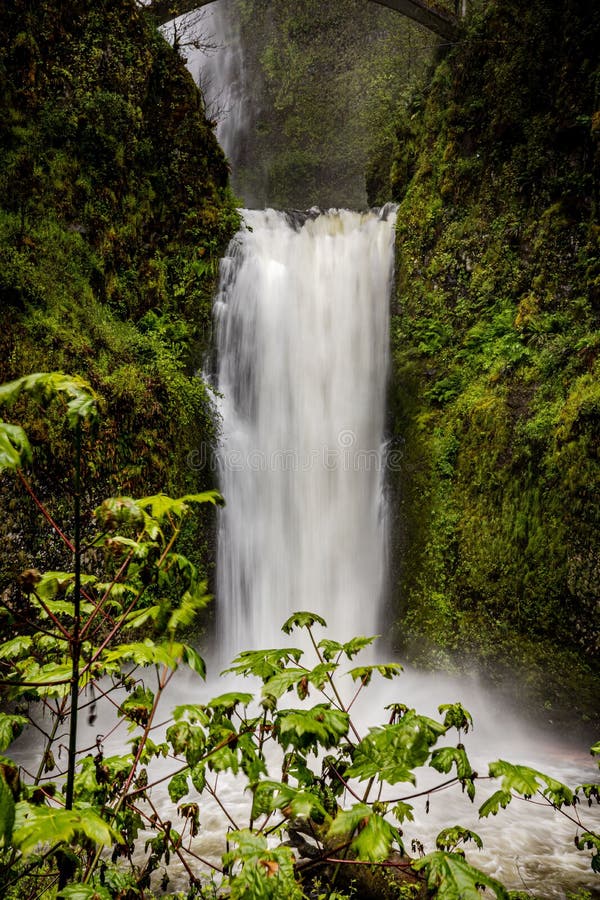 Beautiful View of a Huge Waterfall in a Forest with Trees Stock Image ...