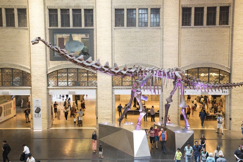 A Beautiful View Inside the Royal Museum in Toronto Editorial Photo ...
