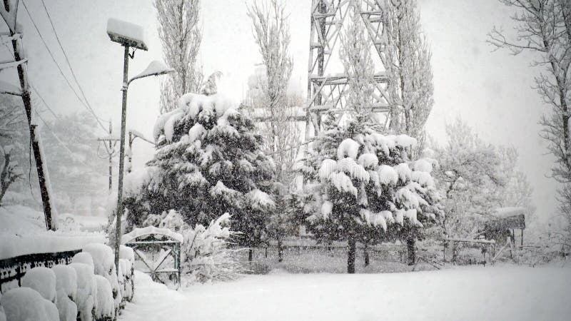 Beautiful View of Kashmir with Snowfall, Jammu and Kashmir, India ...