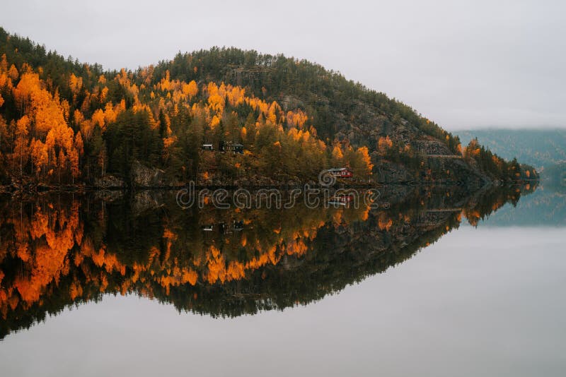 Beautiful View of a Lakeside with Trees in Fall Colors Reflecting in ...