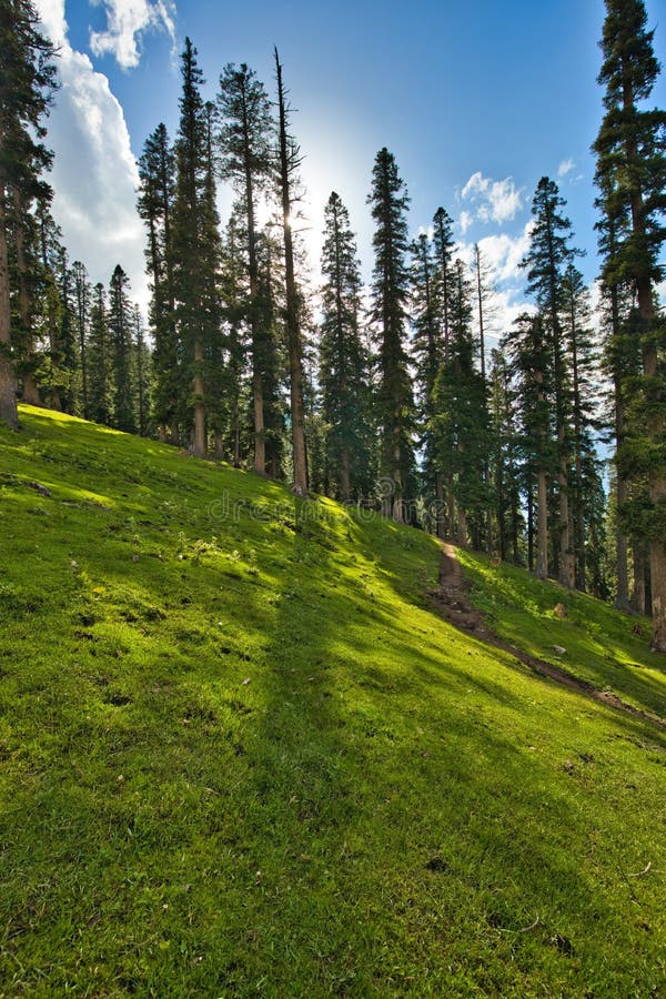 Beautiful View of Lalazar in Pakistan Stock Image - Image of nature ...