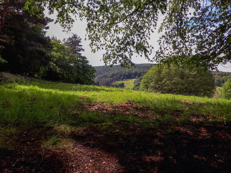 Spessart forest in summer stock image. Image of panorama - 142986665