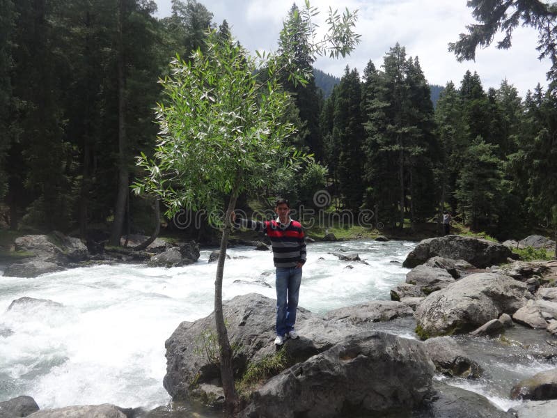 Beautiful View of the Lidder River in Kashmir Editorial Stock Photo ...