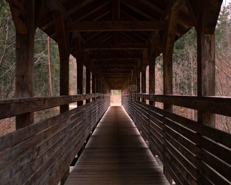 Beautiful View of a Light Shadow in the Wooden Bridge in the Forest ...