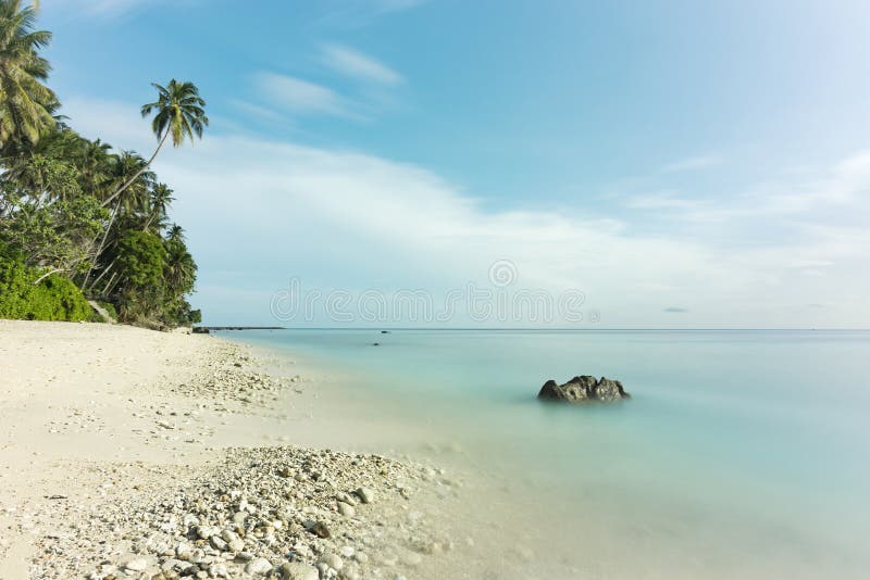 Beautiful View Long Exposure at the Beach, White Sand, Coconut Tree and ...