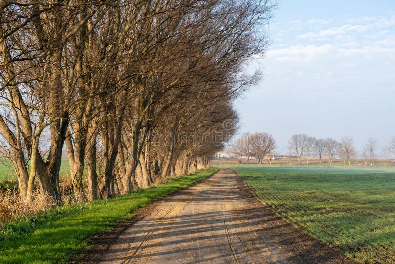 Beautiful View of a Long Narrow Rural Road Surrounded by Trees and ...