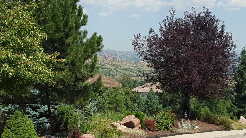 Wonderful Trees stock photo. Image of lush, trees, wonderful - 139895958