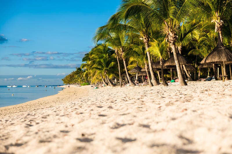 Beautiful View of the Luxury Beach in Mauritius. Ocean, Sandy Beach ...