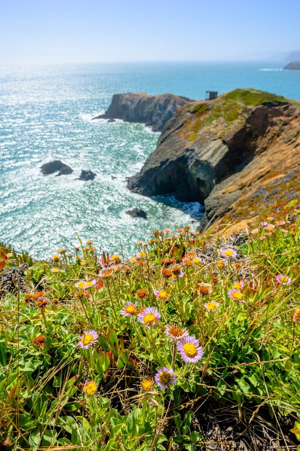 Beautiful View on a Meadow, Ocean and Bird Island Stock Image - Image ...