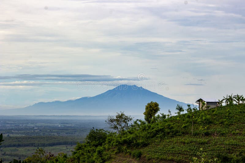 Misty Mount Lawu Stock Photos - Free & Royalty-Free Stock Photos from ...