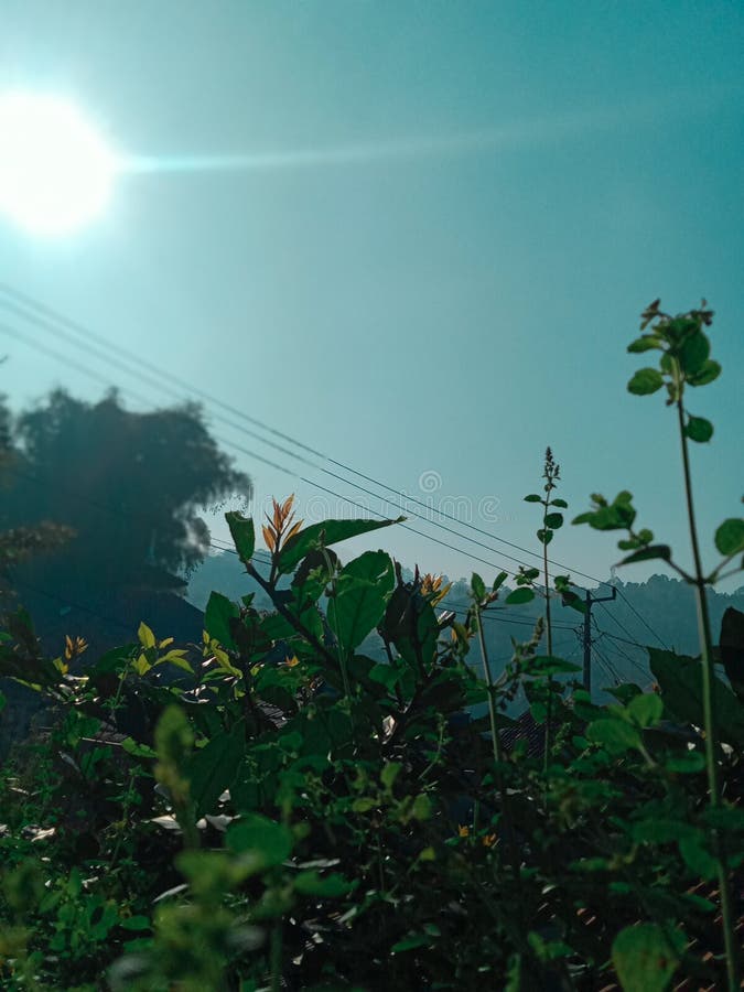 Beautiful View in the Morning with Sunshine Stock Photo - Image of ...