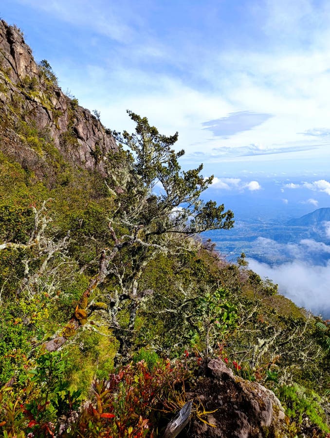Beautiful View of Mount Lawu Stock Image - Image of route, java: 376749687