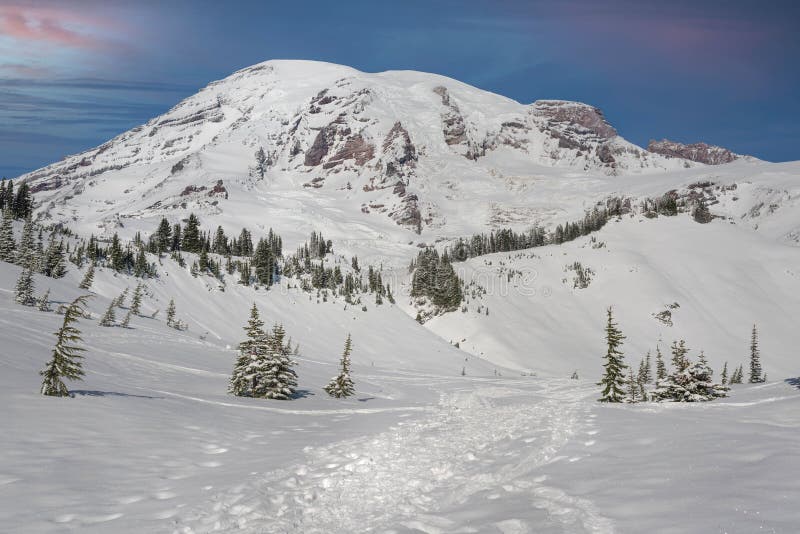 Beautiful View of Mount Rainier in Winter with Footprints in the Snow ...