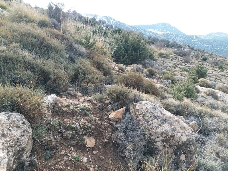 Jhhgg Stock Photos - Free & Royalty-Free Stock Photos from Dreamstime