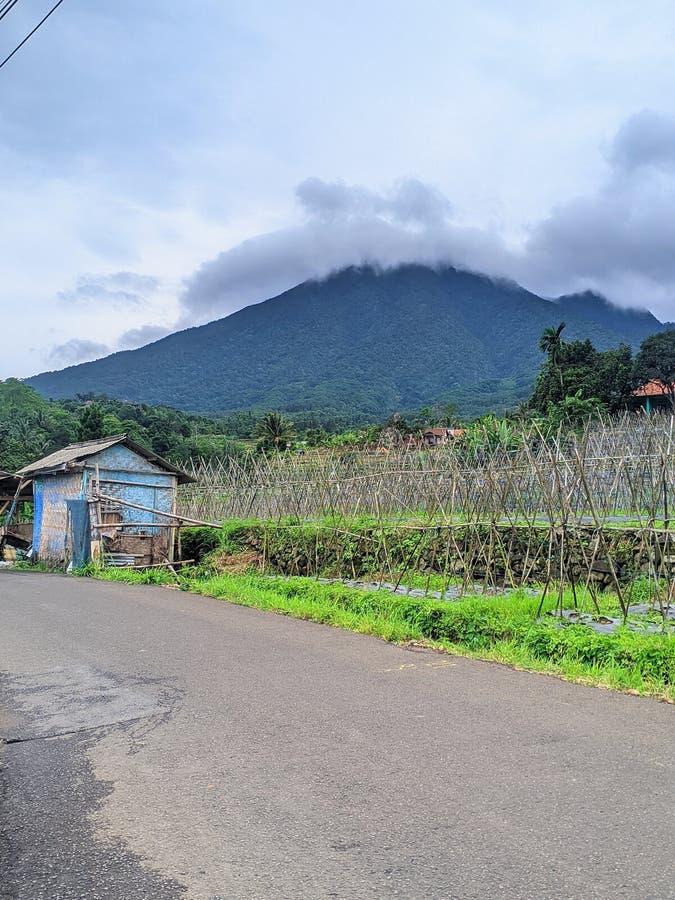 Endah Area Stock Photos - Free & Royalty-Free Stock Photos from Dreamstime