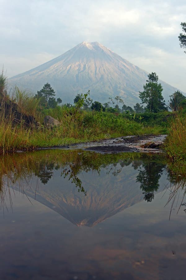 Beautiful View of Mount Semeru with Reflection on a Puddle. Stock Image ...